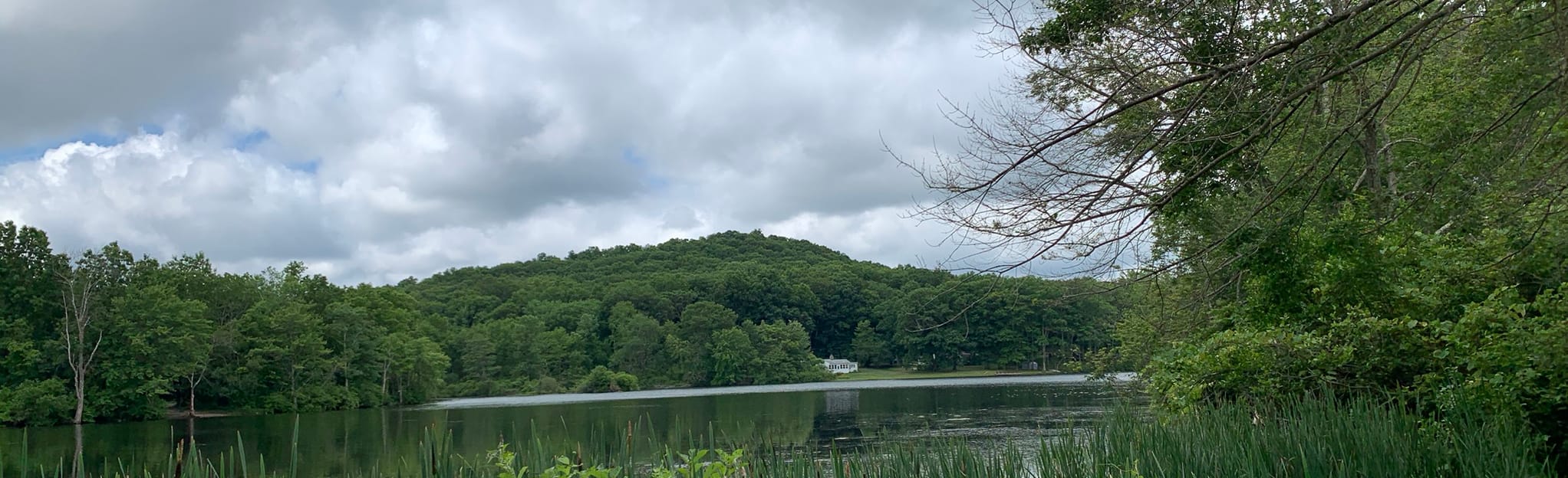 Jefferson Lake Bike Path, White and Teal Loop, New Jersey - 90 Reviews ...