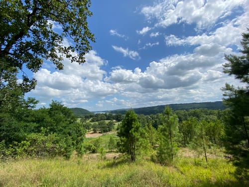 Best Hikes and Trails in Burns Park | AllTrails