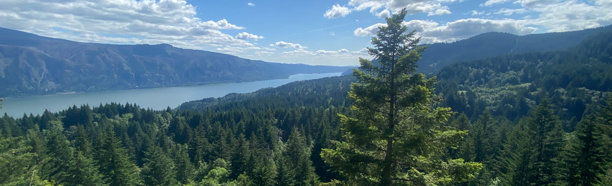 Scott Point via Archer Mountain Trail: 621 foto's - Washington | AllTrails