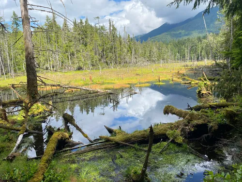 10 Best Trails and Hikes in Powell River A | AllTrails