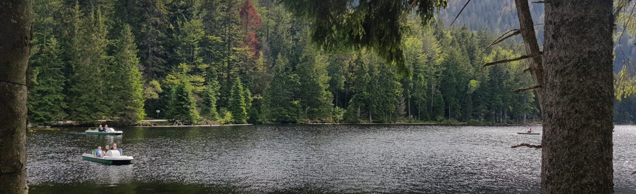 Grote Arber en Arbersee: 136 foto's - Bavaria, Duitsland | Wandelen ...
