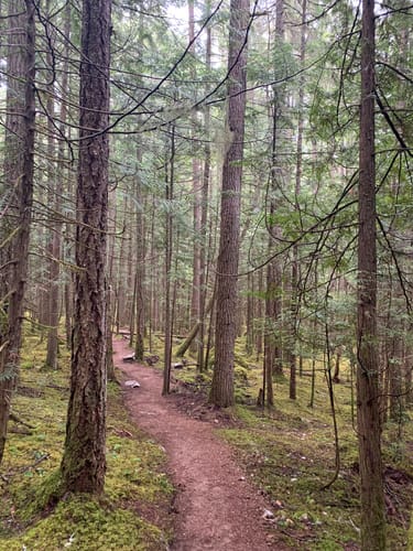 2023 Best 10 Trails and Hikes in Sechelt | AllTrails