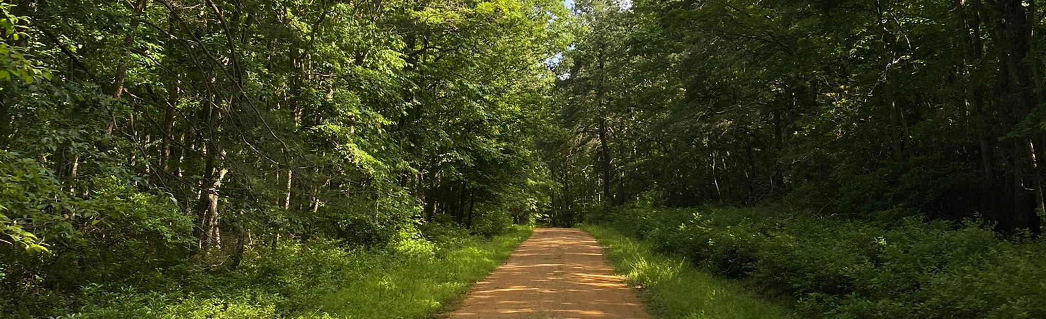 Elk Neck Lighthouse Trail: 83 Reviews, Map - Maryland | AllTrails