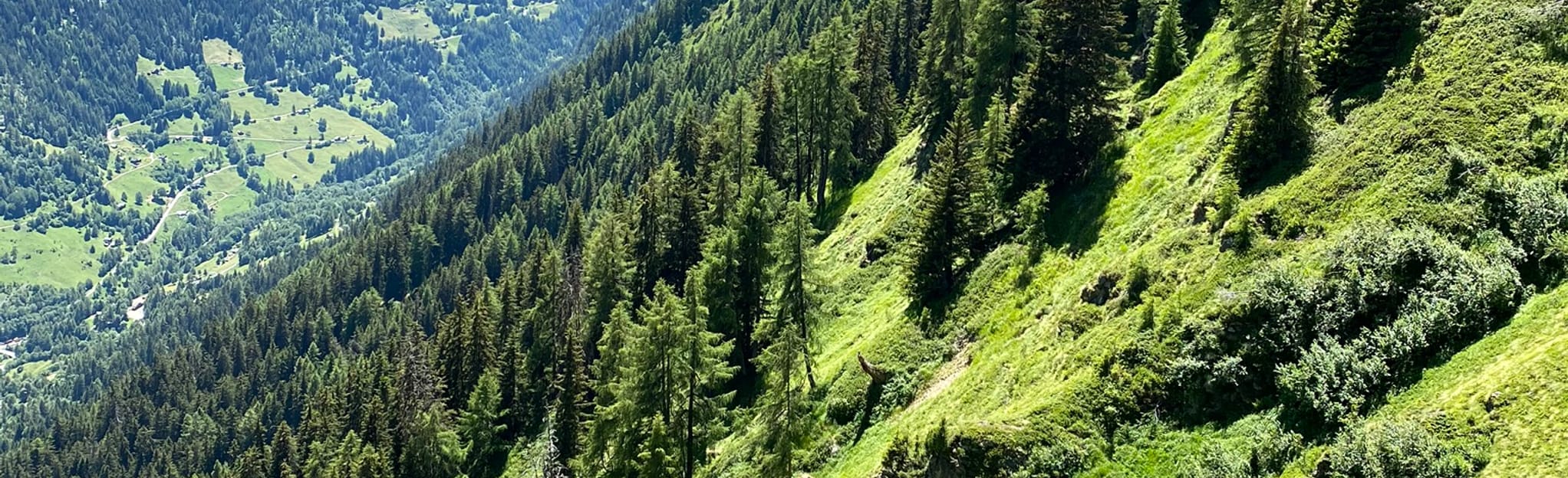 Thyon Les Collons - Essertze - l'Alpage, Valais, Switzerland - 12 ...