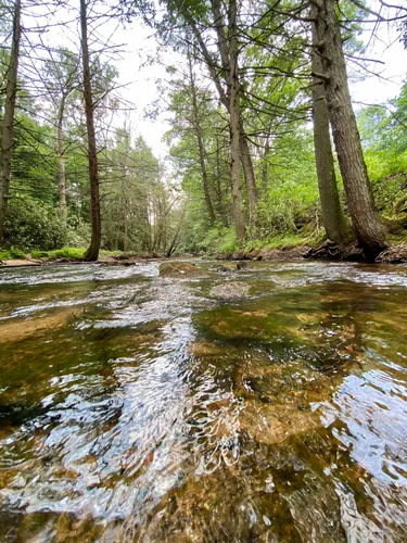 10 Best Hikes and Trails in State Game Lands Number 211 | AllTrails