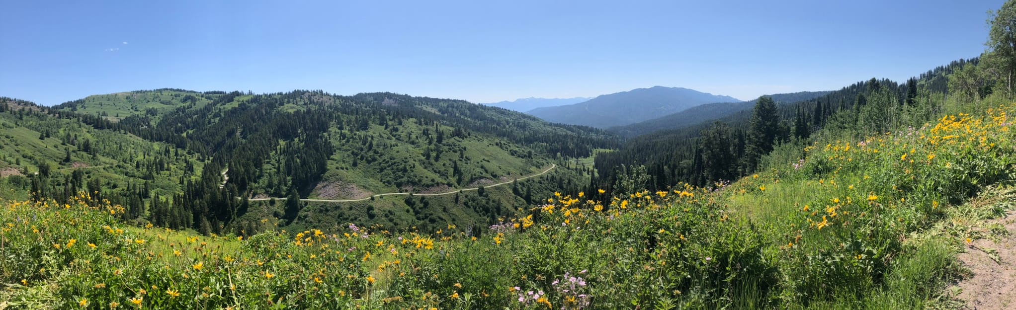 Elk Mountain Ridge Trail #130, Wyoming - 4 Reviews, Map | AllTrails