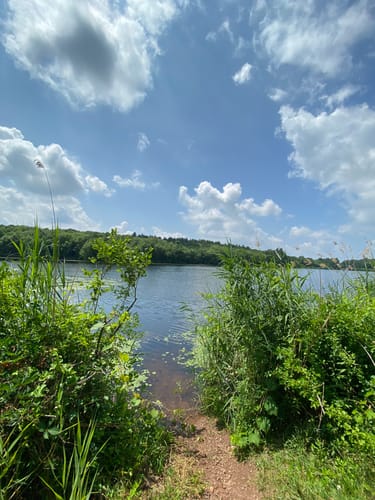 Best 10 Hikes and Trails in Meshomasic State Forest | AllTrails