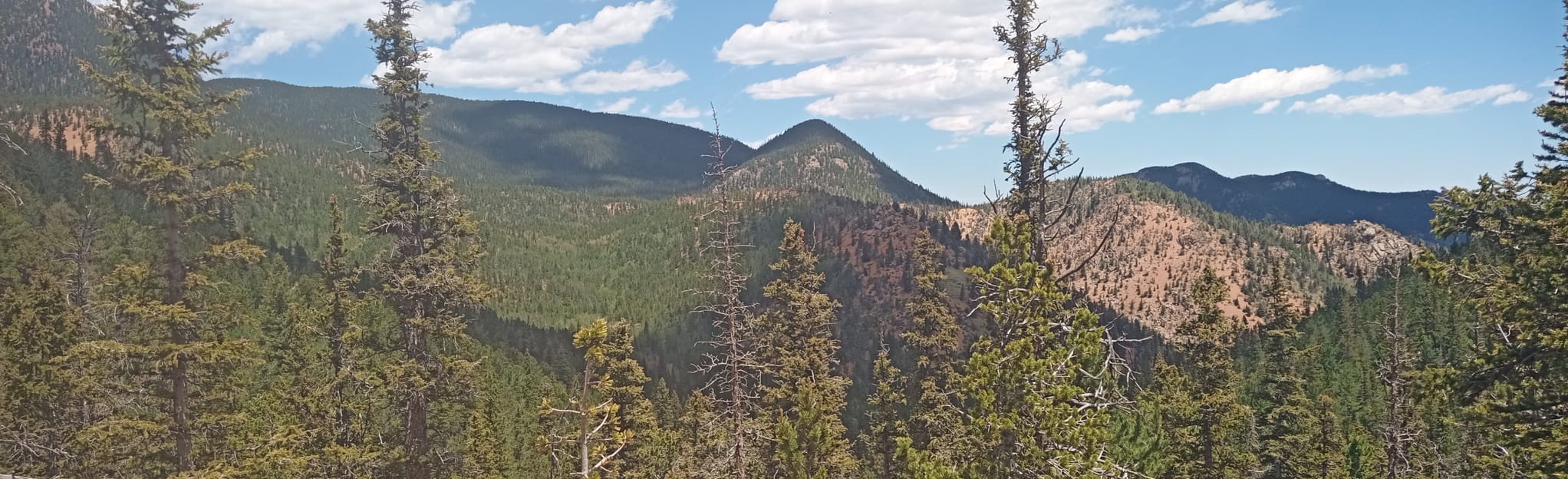 Captain Jack's and Mount Rosa OHV Loop, Colorado - 10 Reviews, Map ...