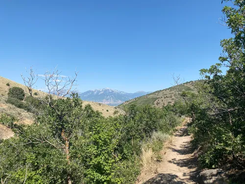 10 Best Trails and Hikes in Herriman | AllTrails