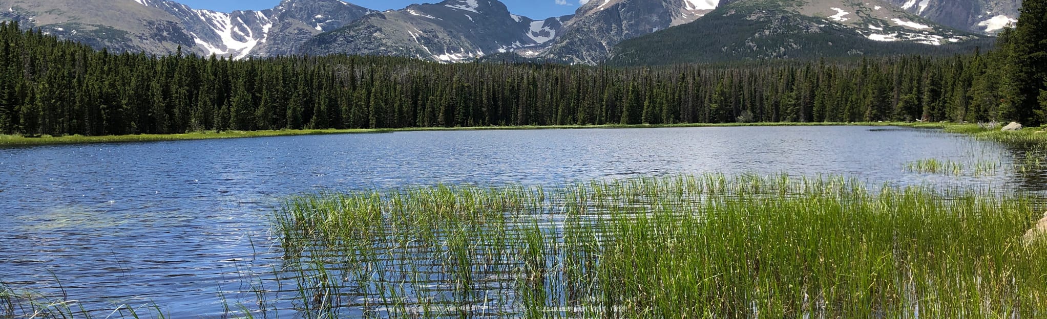 Bierstadt Lake via Hollowell Park and Mill Creek Basin Trail: 1.261 ...