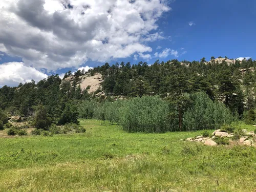 10 Best Trails and Hikes in Red Feather Lakes | AllTrails