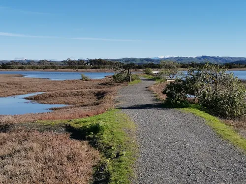 10 Best Trails and Hikes in Napier | AllTrails