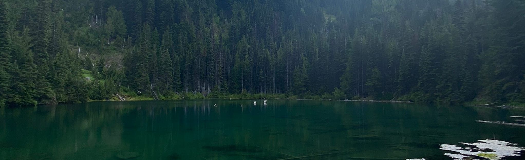 PJ Lake Trail, Washington - 134 Reviews, Map | AllTrails