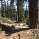 Norris Trailhead to Vanderburgh Lake, California - 34 Reviews, Map ...