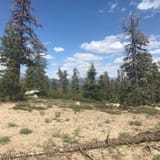 Norris Trailhead to Vanderburgh Lake, California - 34 Reviews, Map ...