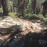 Norris Trailhead to Vanderburgh Lake, California - 34 Reviews, Map ...