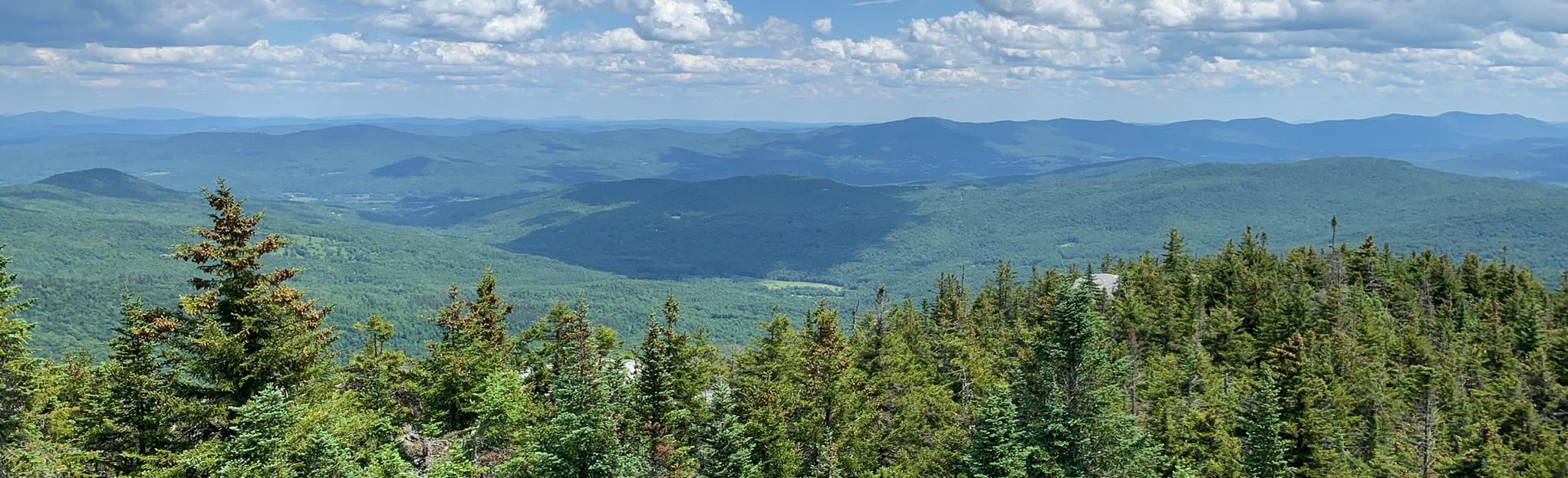 Mount Ethan Allen Trail: 311 Zdjęcia – Vermont | AllTrails
