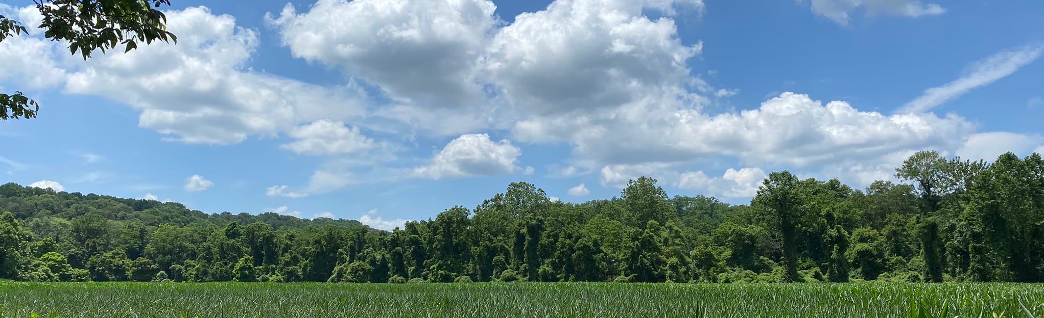 AllTrails | Mason-Dixon Trail: Map Section 9: 17 Reviews, Map ...