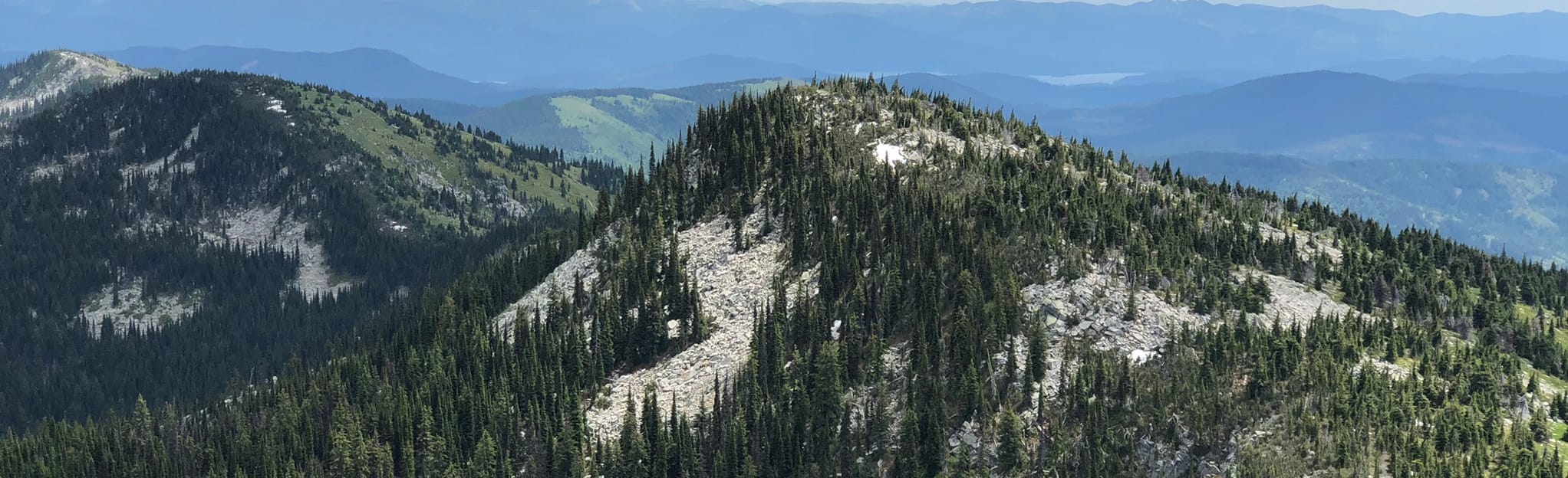 Molybdenite Mountain: 14 fotos - Washington | AllTrails