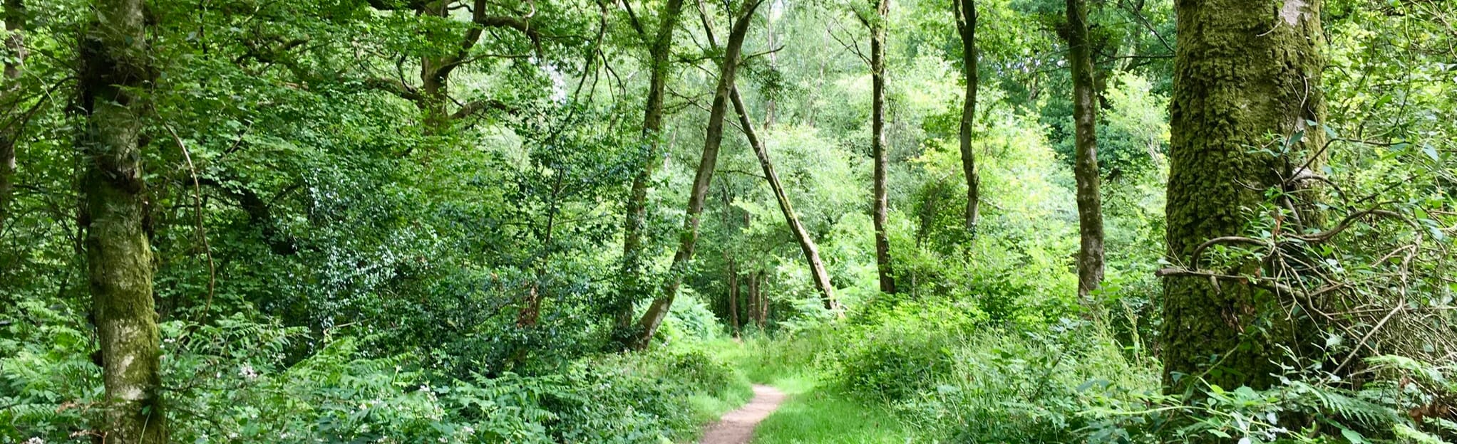 Preston Candover Bradley Circular: 88 Reviews, Map - Hampshire, England ...