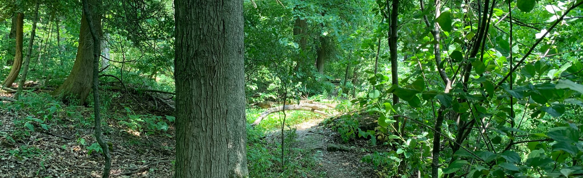 Friendship Trail Loop, Ontario, Canada - 139 Reviews, Map | AllTrails