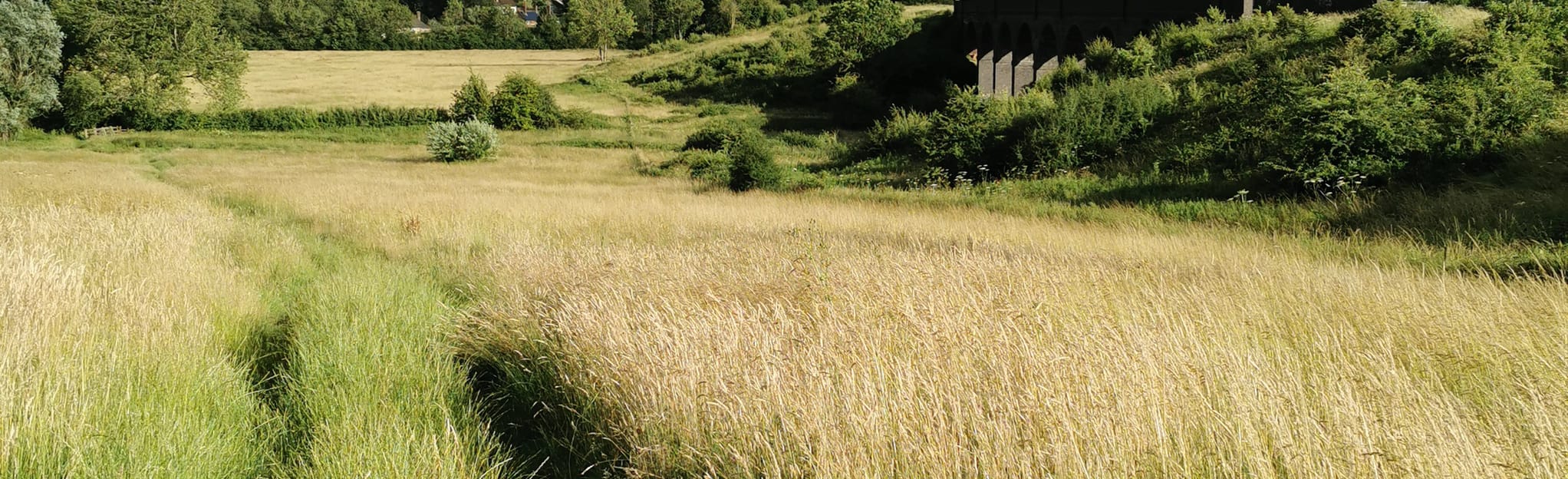 Helmdon Circular, Northamptonshire, England - 8 Reviews, Map | AllTrails