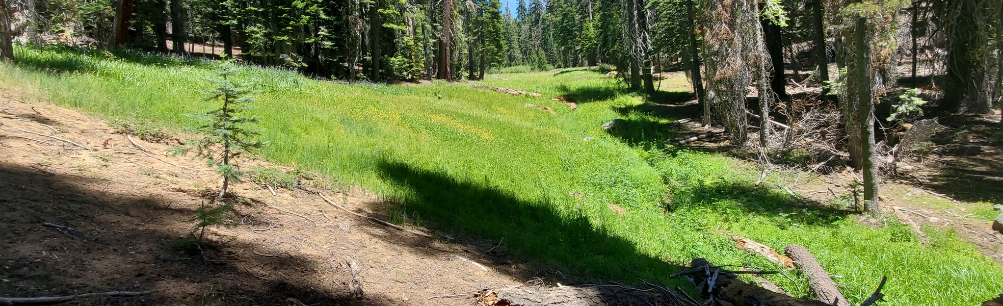 Mary’s Meadow Loop: 29 Reviews, Map - California | AllTrails