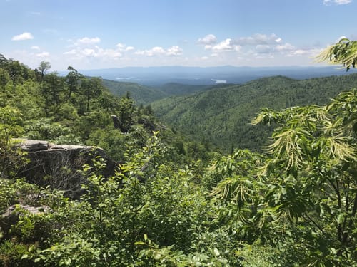 2023 Best 10 Trails and Hikes in Nebo | AllTrails
