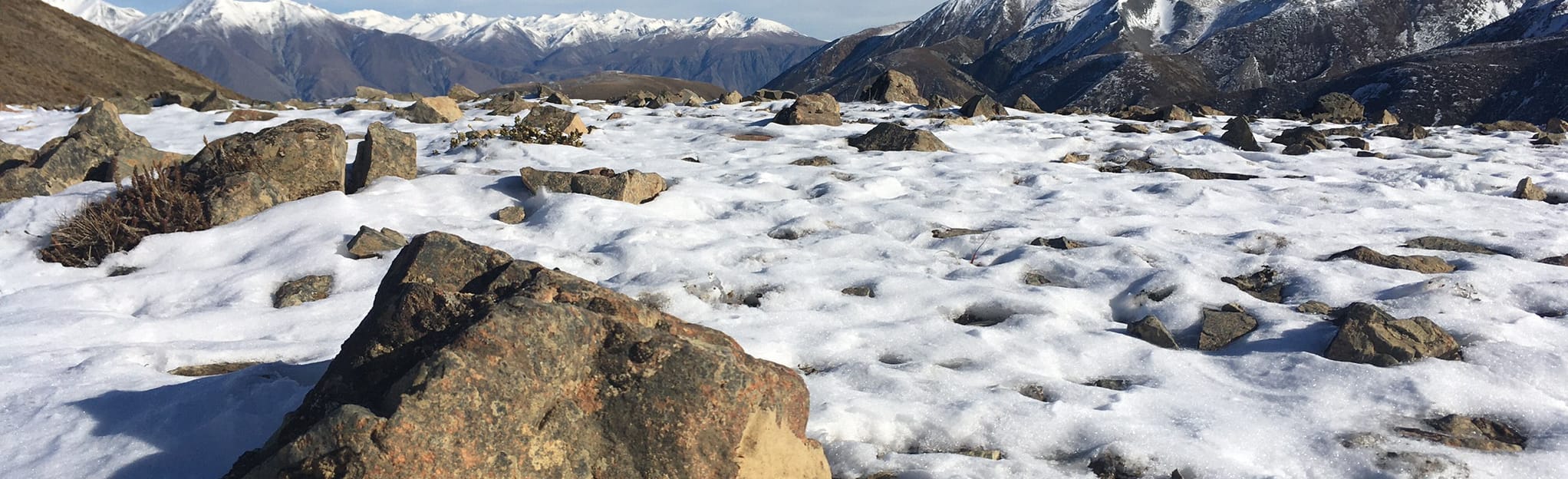 Trig M Track, Canterbury, New Zealand - 67 Reviews, Map | AllTrails