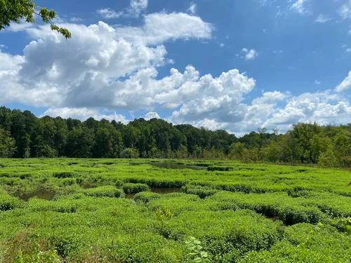 Best Hikes and Trails in Beaver Marsh Nature Preserve | AllTrails