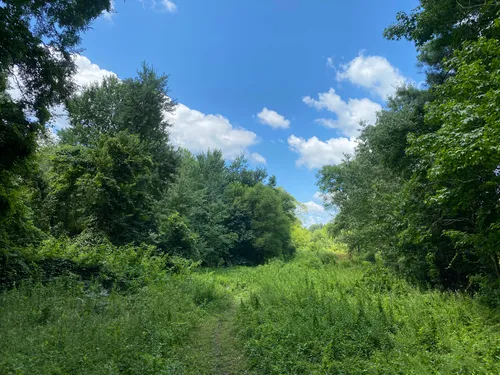 Best Hikes and Trails in Beaver Marsh Nature Preserve | AllTrails