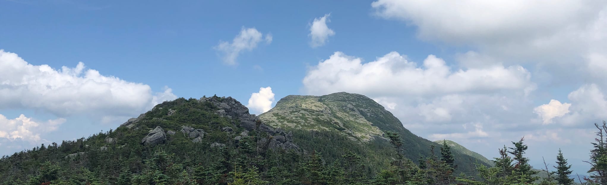 Mount Mansfield Loop Trail: 1586 Reviews, Map - Vermont | AllTrails