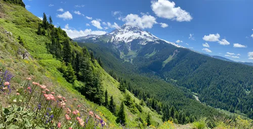 10 Best Hikes and Trails in Mount Hood National Forest | AllTrails