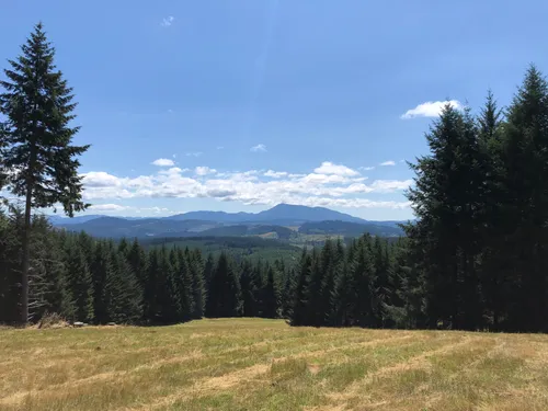 Best Hikes and Trails in Beazell Forest Park | AllTrails