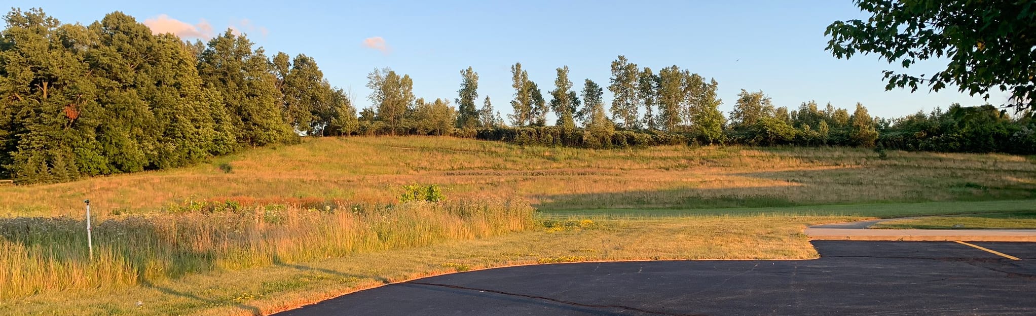 The Trail at Evergreen, Michigan - 8 Reviews, Map | AllTrails