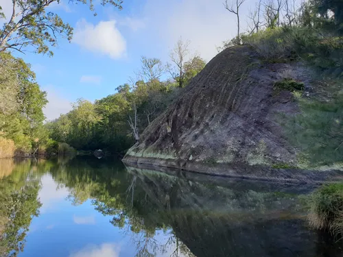 10 Best Trails and Hikes in Mount Mee | AllTrails