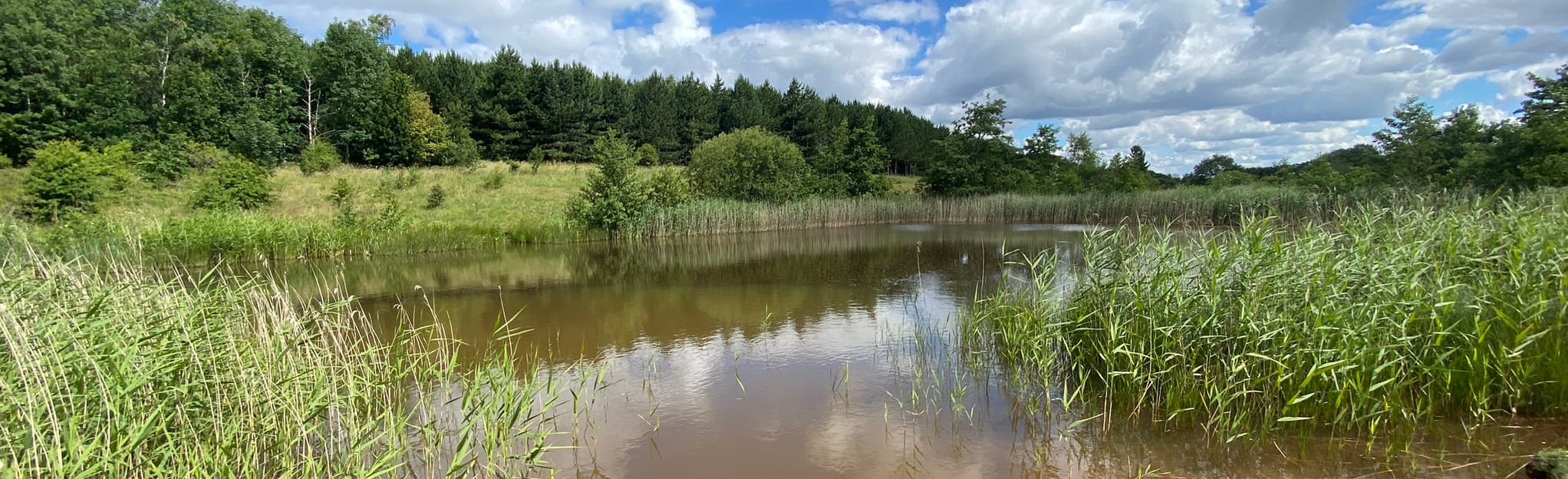 Shirebrook Wood and Three Lakes Circular - Nottinghamshire, England ...