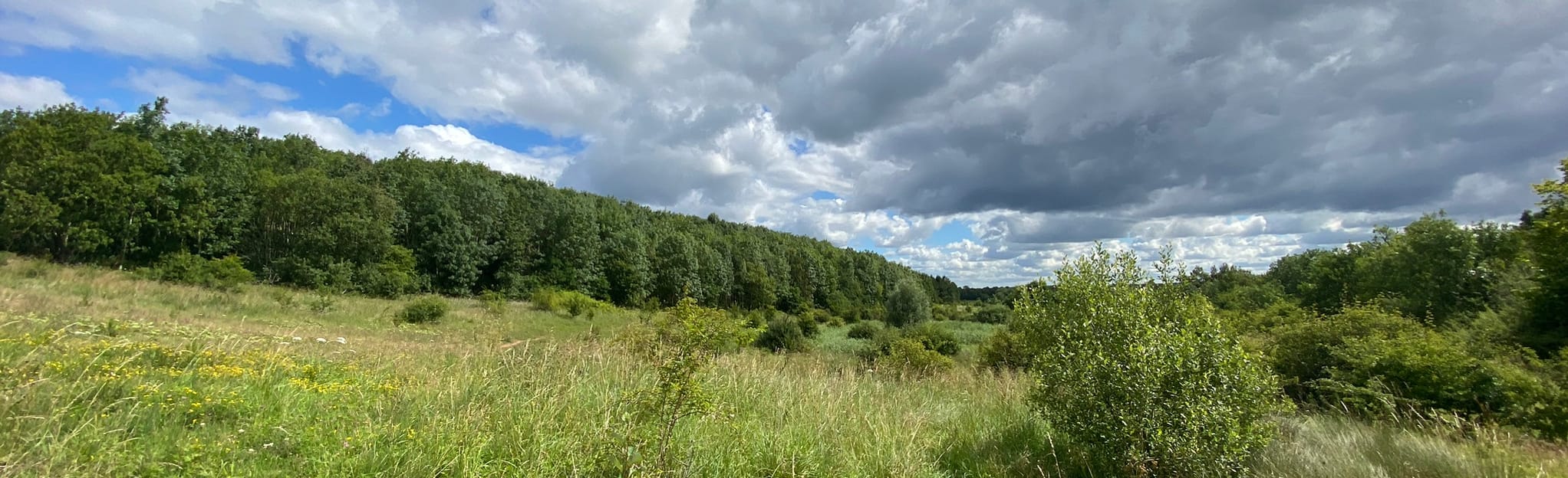 Shirebrook, Langwith Wood and Pleasley Vale Woods Circular ...