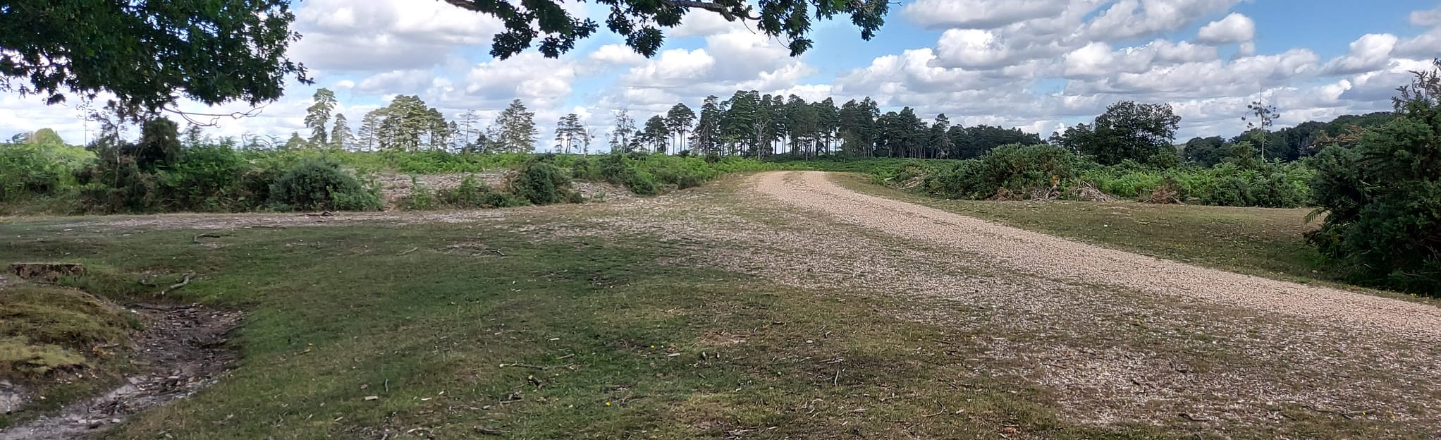 Stoney Cross Circular, Hampshire, England - 40 Reviews, Map | AllTrails