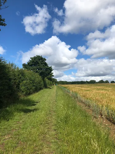 10 Best Trails and Hikes in Northampton | AllTrails