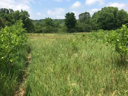 Best Hikes and Trails in Two Rivers Park | AllTrails