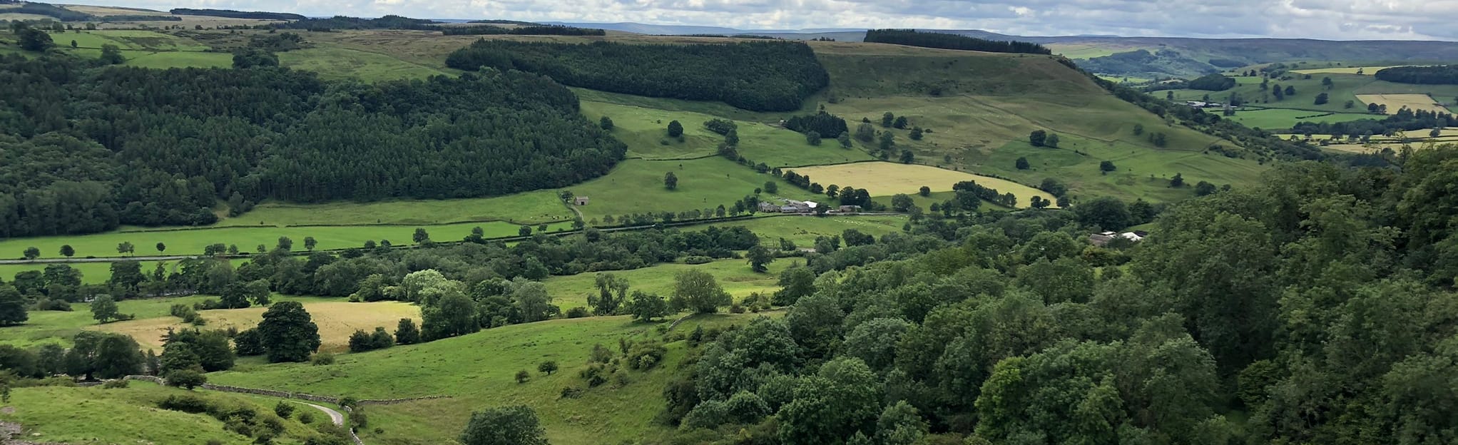 Whitcliffe Wood, 134 Fotos - North Yorkshire, England | AllTrails