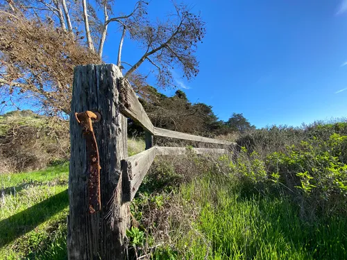 10 Best Trails and Hikes in Goleta | AllTrails