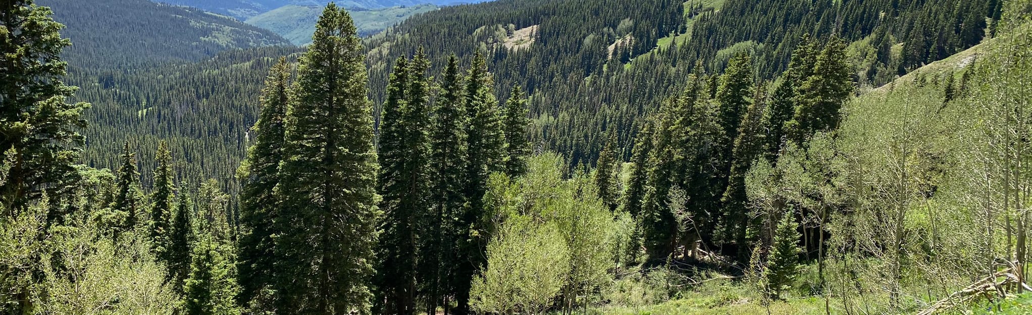 El Diente Peak, Mount Wilson and Wilson Peak, Colorado - 46 Reviews ...