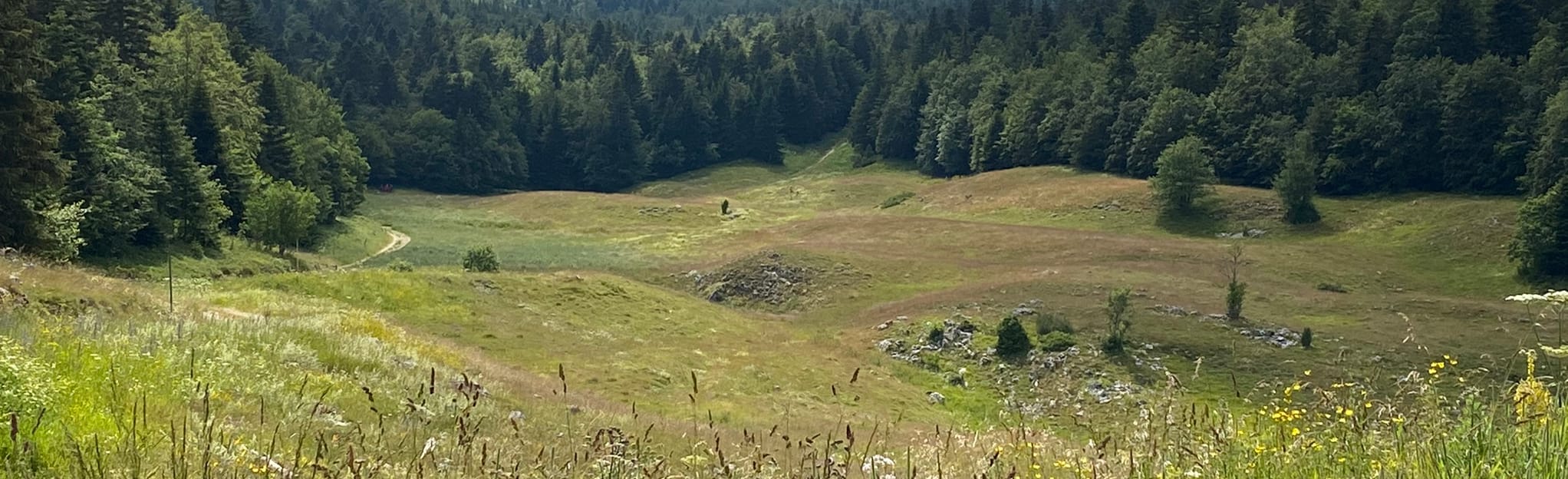 Font d'Urle - Col de la Chau - Drôme, France | AllTrails