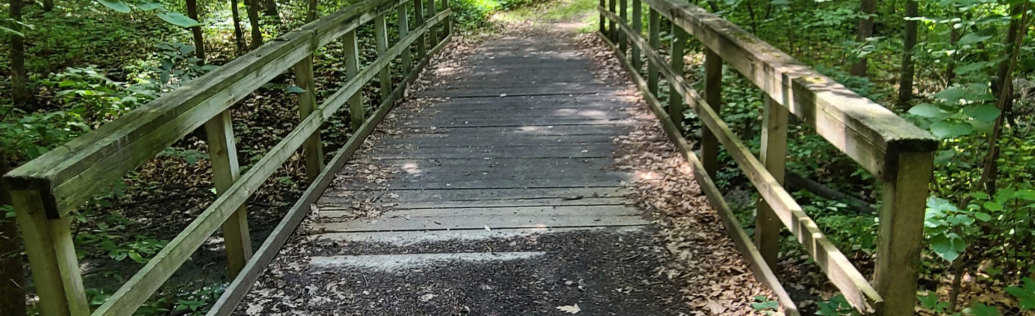 Sakatah Lake State Park Campground, Minnesota - 36 Reviews, Map | AllTrails