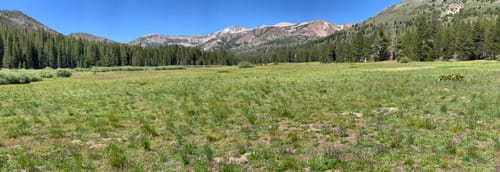 Best Hikes and Trails in Owens River Headwaters Wilderness | AllTrails