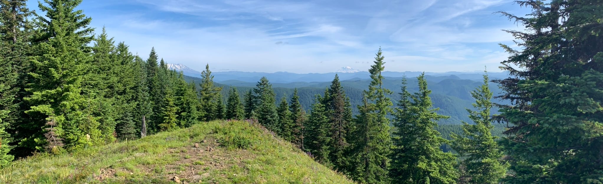 AllTrails | Trapper Creek and Observation Peak Loop: 113 Reviews, Map ...