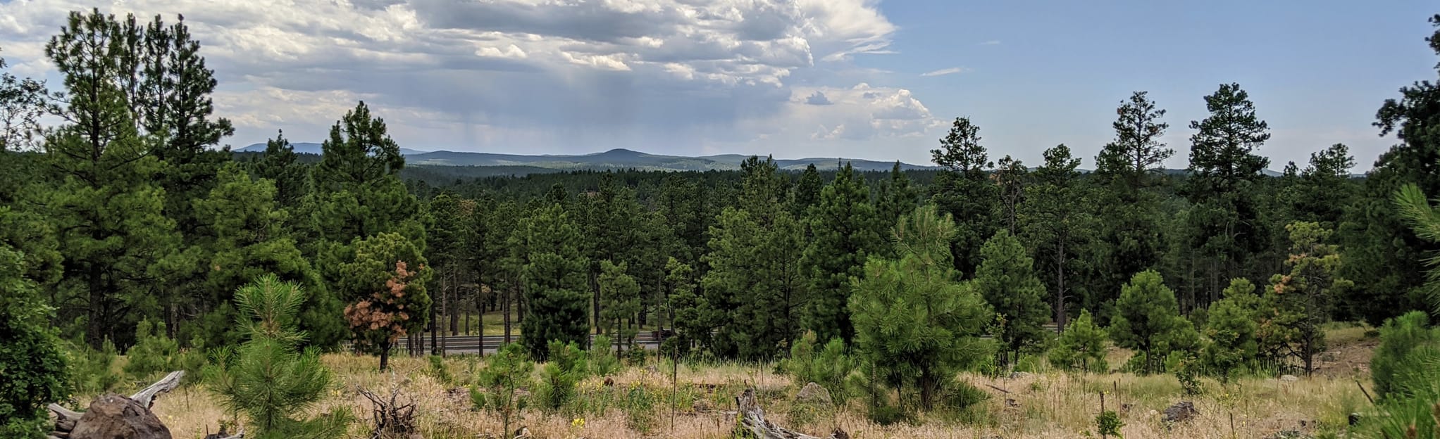 Soldier and Highlands Trail Loop, Arizona - 192 Reviews, Map | AllTrails