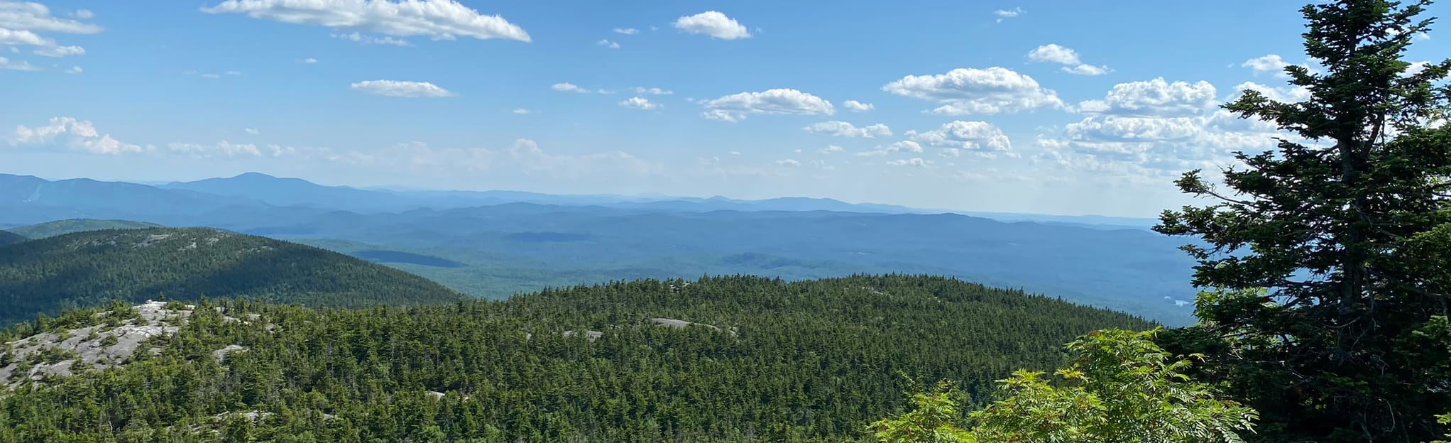 Mount Cardigan Loop Trail: 1656 Reviews, Map - New Hampshire | AllTrails